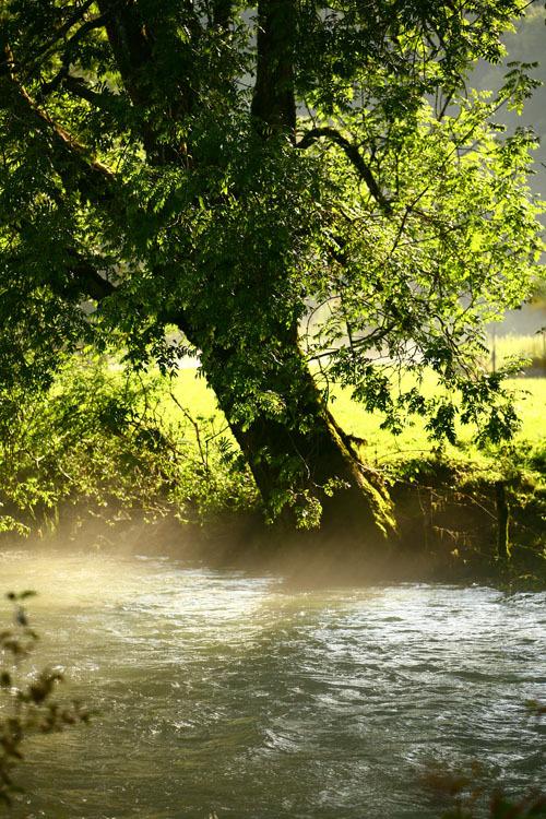 Olivier Boillon - www.cancoillotte.net